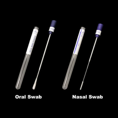 Specimen Collection Swab - Evenmed